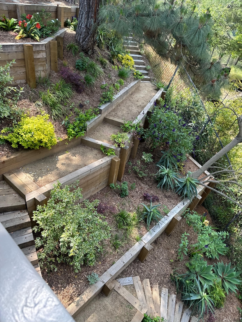 Urban Soil Landscapes – Transforming Los Angeles Landscapes